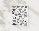 Printable Butterfly & Insect Ink Stamp – Hanana Studio