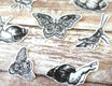 Printable Butterfly & Insect Ink Stamp – Hanana Studio