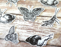 Printable Butterfly & Insect Ink Stamp – Hanana Studio