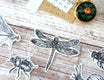 Printable Butterfly & Insect Ink Stamp – Hanana Studio
