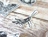 Printable Butterfly & Insect Ink Stamp – Hanana Studio