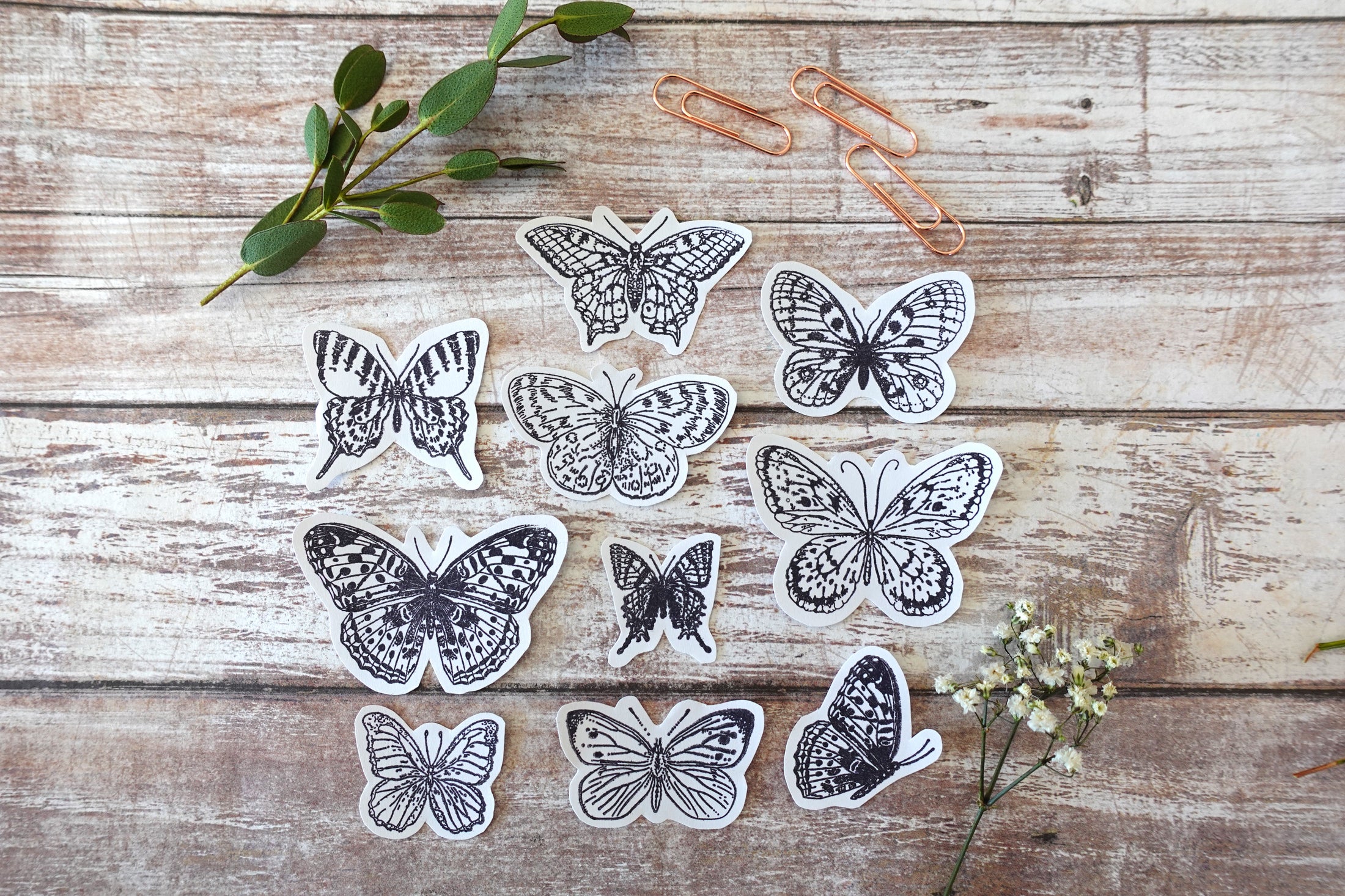 Printable Butterfly & Insect Ink Stamp – Hanana Studio